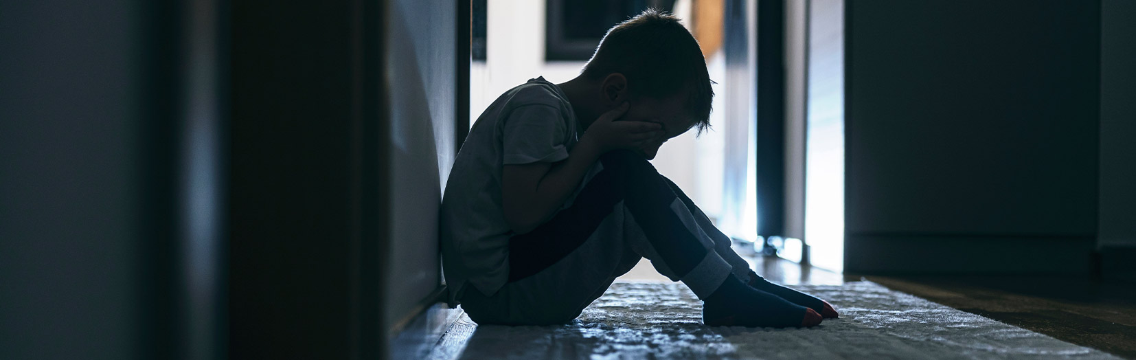 Chapter 568 RSMo – Offenses Against the Family | Missouri Criminal Statutes